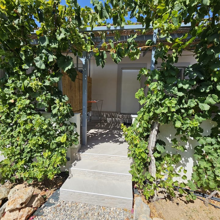 Ivasalamis - Саламин