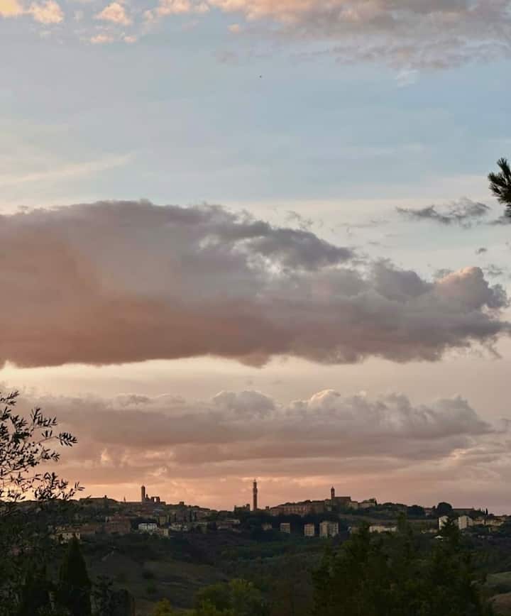 Le Logge - Agriturismo La Terrazza Sul Mangia - Sienne