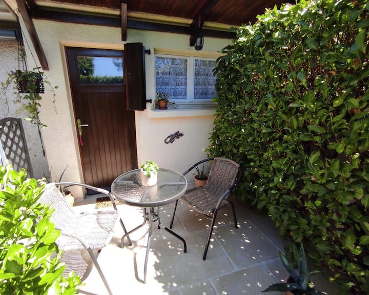 Studette Avec Terrasse Fleurie - Longvic