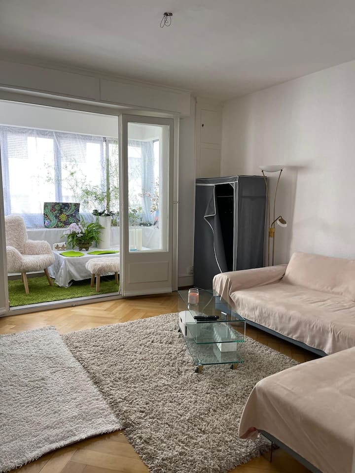 Grand Salon Avec Patio Et Tv - Fribourg