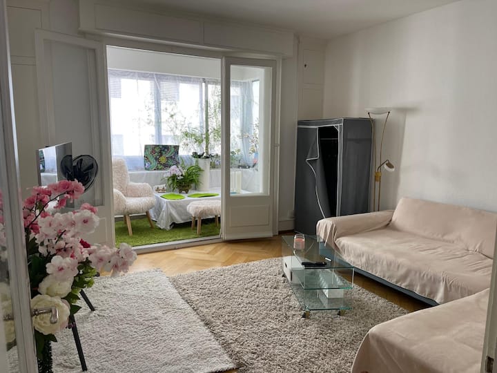 Grand Salon Avec Patio Et Tv - Fribourg