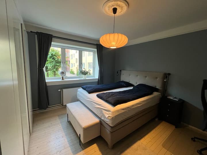 Lys, Stor Og Sentral Leilighet På Torshov - Oslo