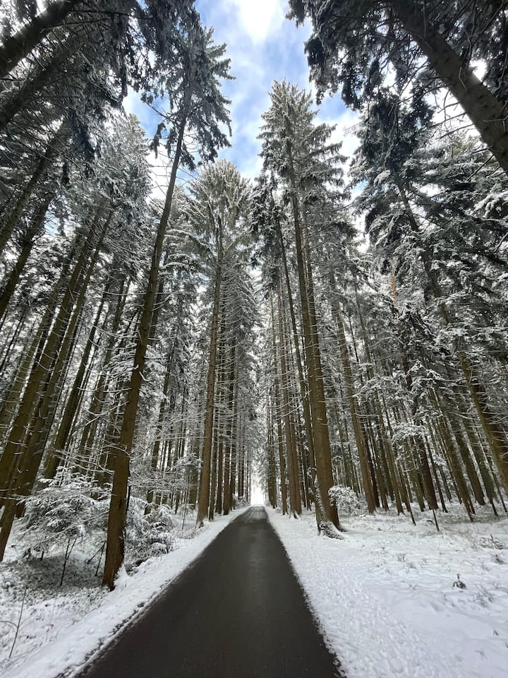 Schwarzwald: Modern Mit Terrasse - Schiltach