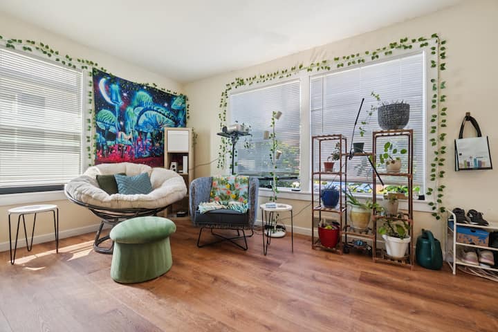 The Vine House - Olympia