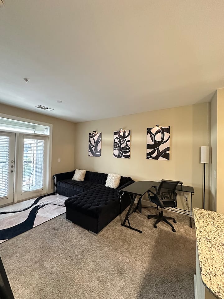 Houston Apartment Near Nrg/medical Center, Everywh - Houston, TX