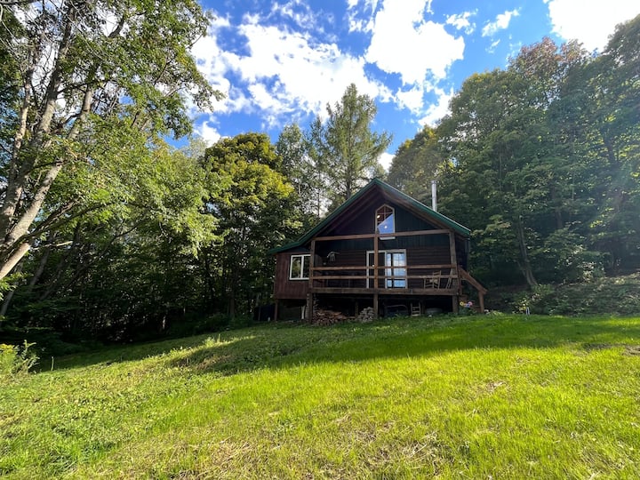 7 Acre Lake View Close To Skiing - Finger Lakes, NY