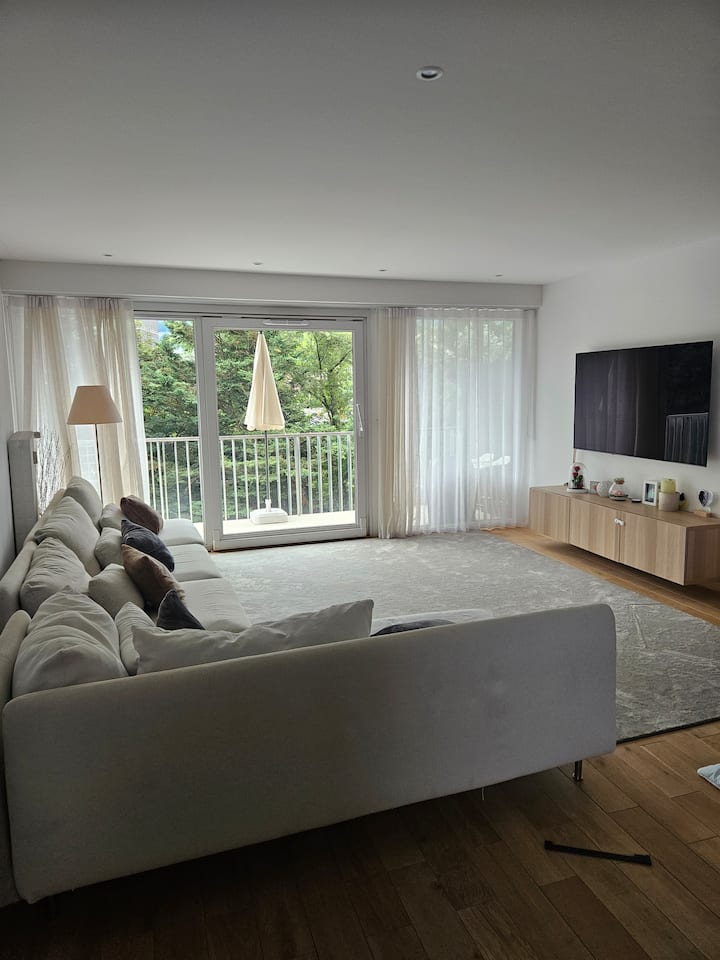 Appartement Spacieux - Annemasse