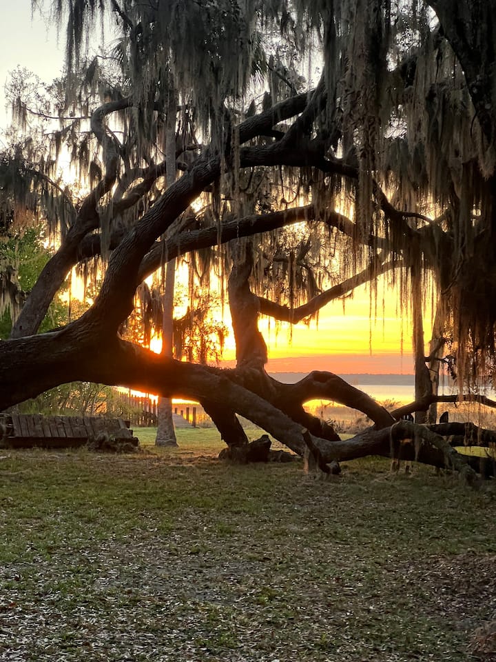 Lake Rosalie Retreat - Lake Aurora, FL