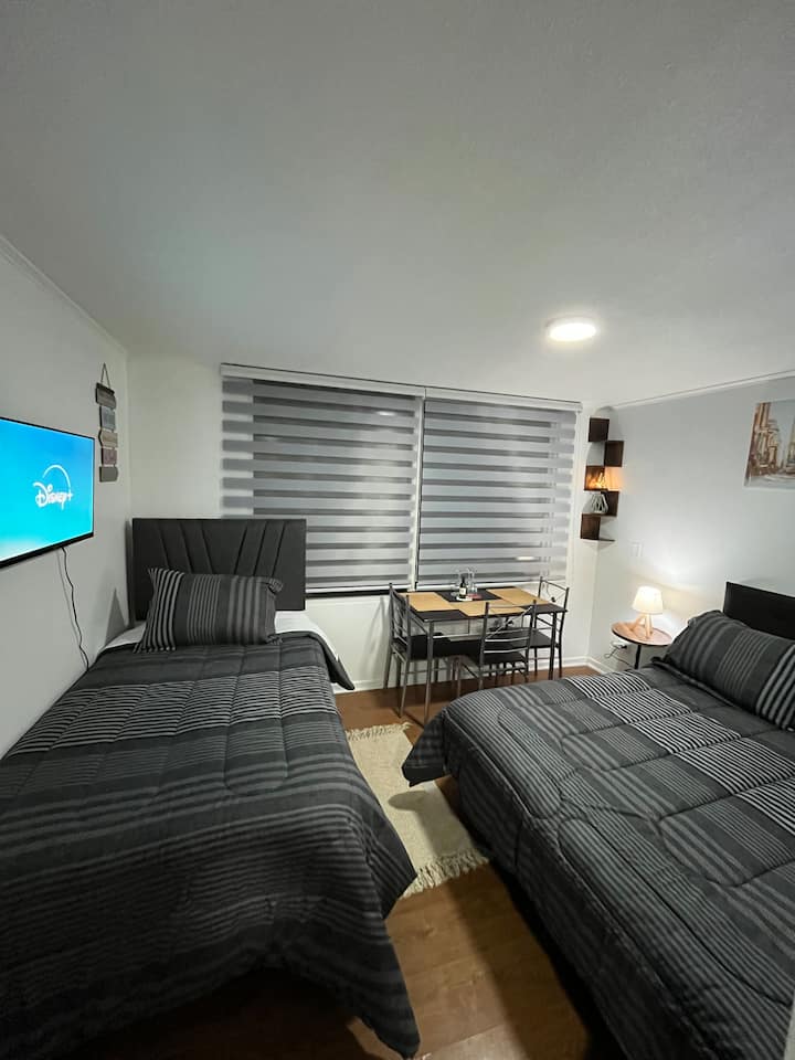Céntrico, Equipado Y Acogedor Departamento (1320) - Santiago (Chile)