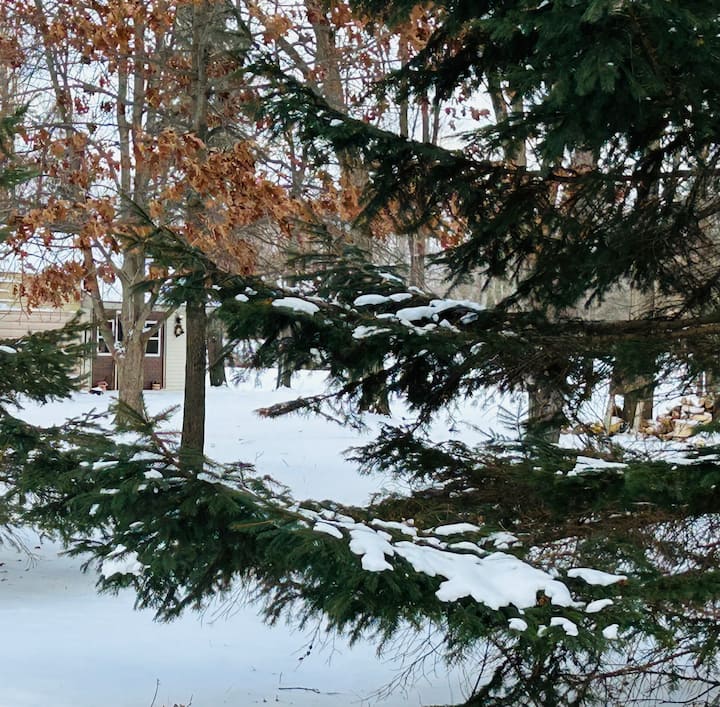 The Woods Edge Hideaway-peace, Pines And Privacy - Seven Lakes State Park, Holly