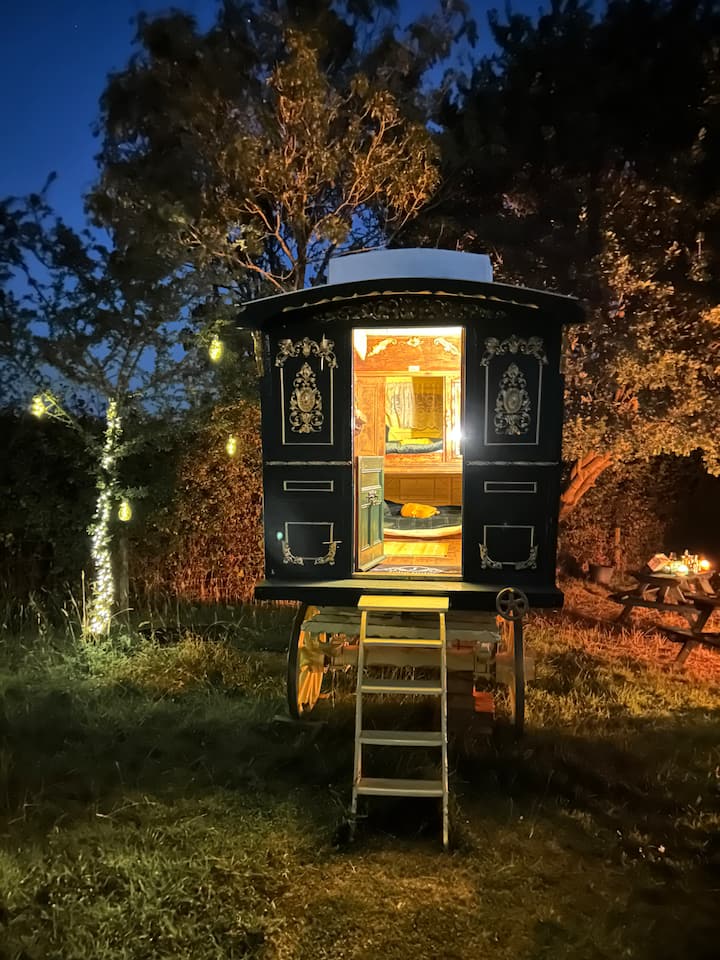 Prize Fighter Gypsy Wagon - Shaftesbury