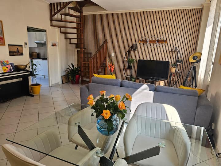 Une Chambre Au Cœur De Roanne - Roanne