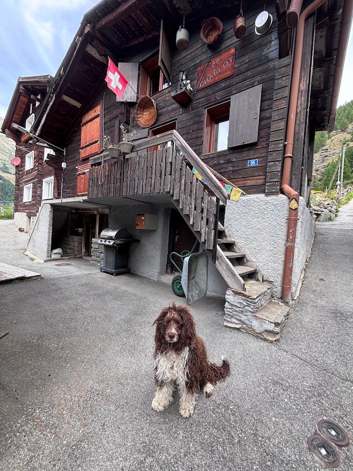Backpacker/skateboarder House - Saas-Fee