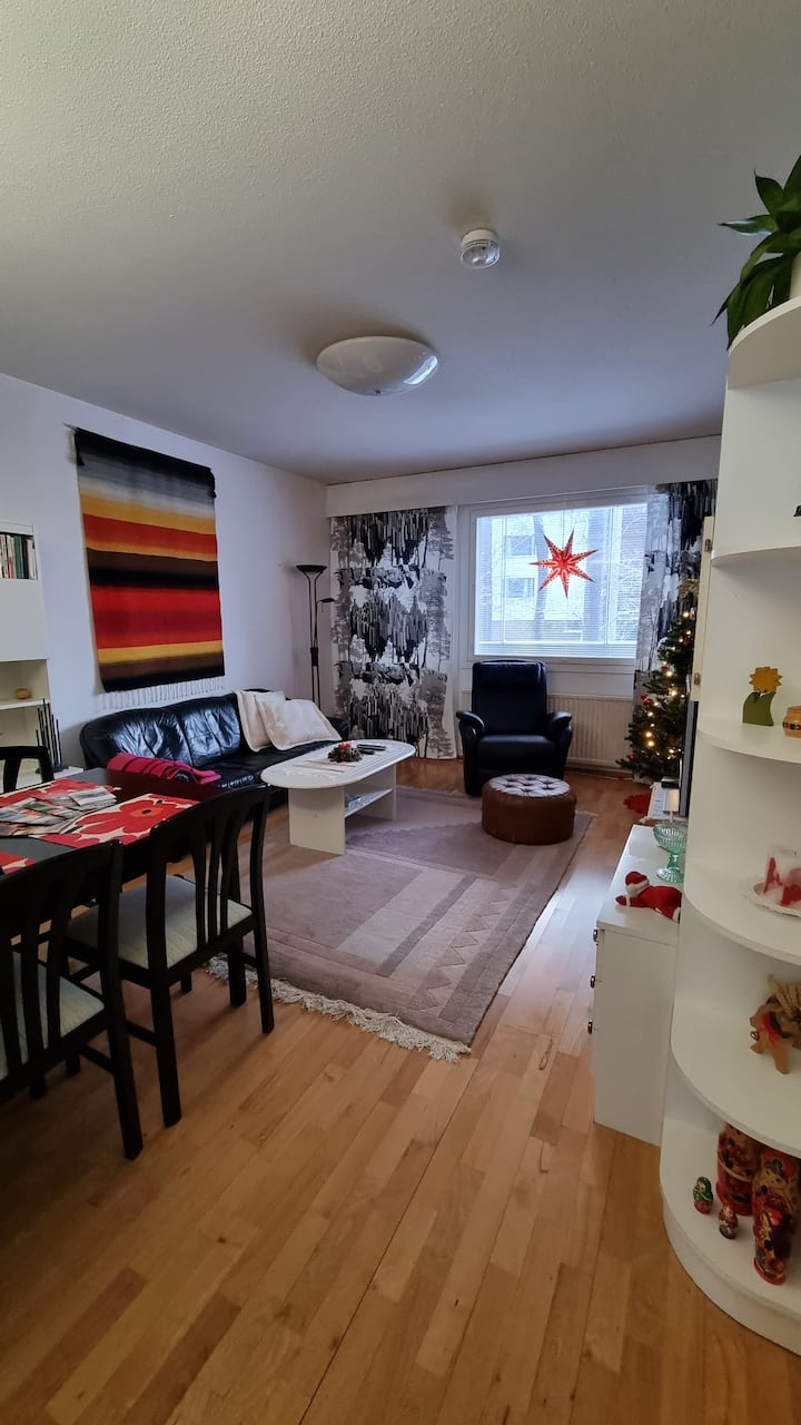 Iso Ja Tunnelmallinen Kolmio Keskustassa. - Rovaniemi