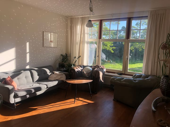 Sunny Artist Home Westerpark - Amsterdam