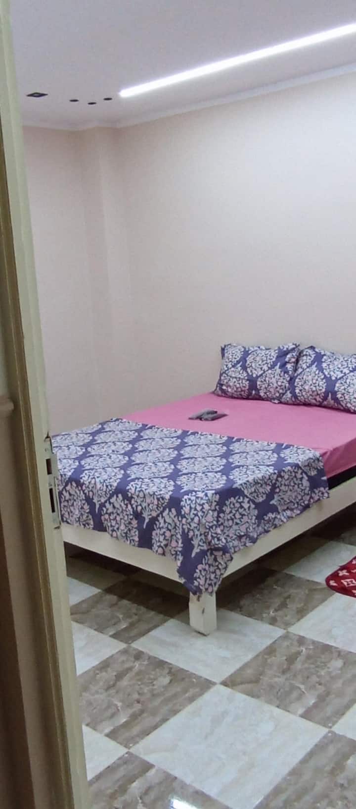 Apparemment Salamandres F4 - Mostaganem
