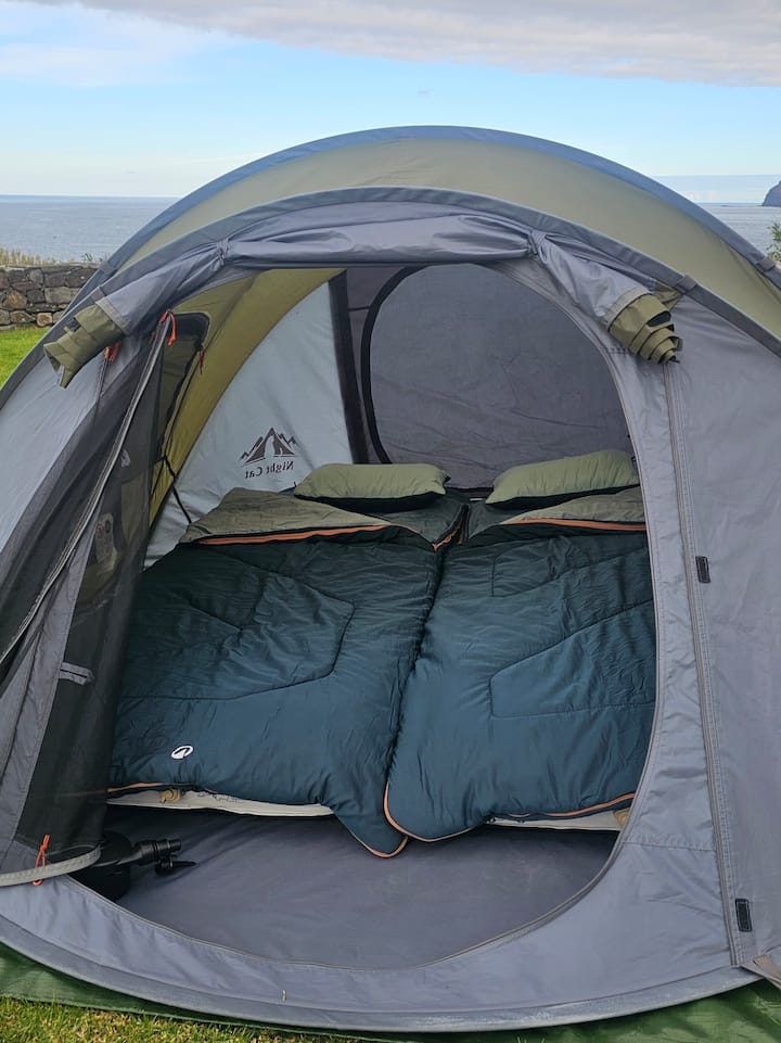 Noite Mágica Sob As Estrelas! - 2 Singles - Fazenda