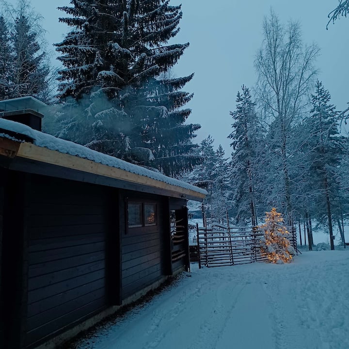 Hukka- Aidattu Järvenrantamökki - Äänekoski