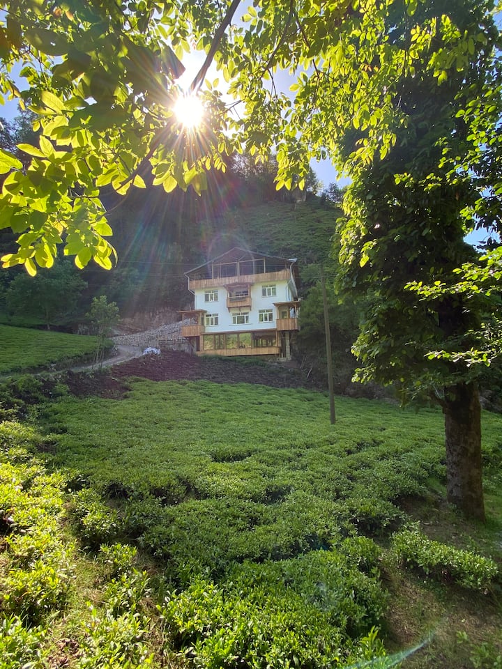 Karmateruba Dağ Evi - Çamlıhemşin