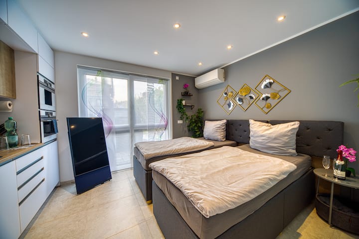 Villa Harmonie Ng 1-room Apartment Smart Tv Shower - Dresde