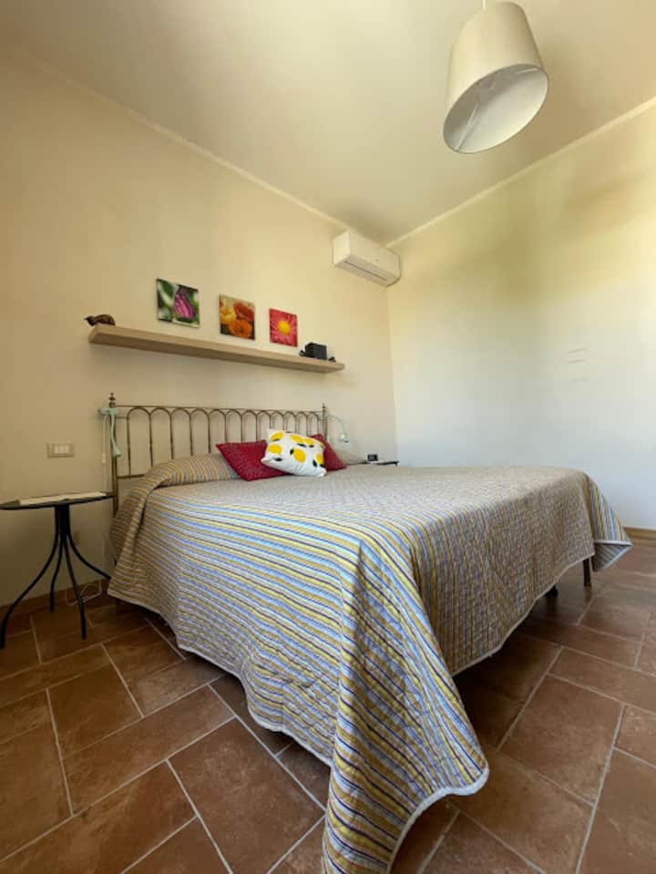 La Casita - Viareggio