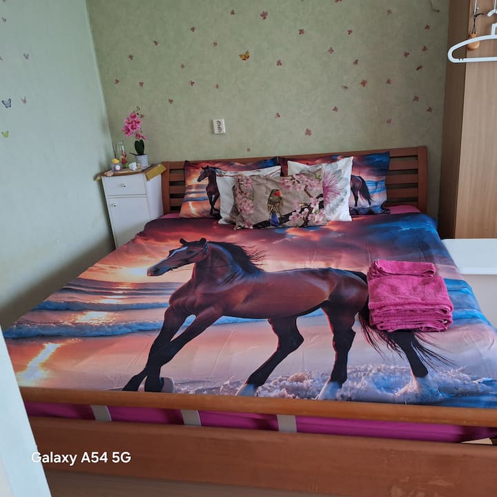 Yeoh House Is Cosy Quiet And Peaceful - Nordholland