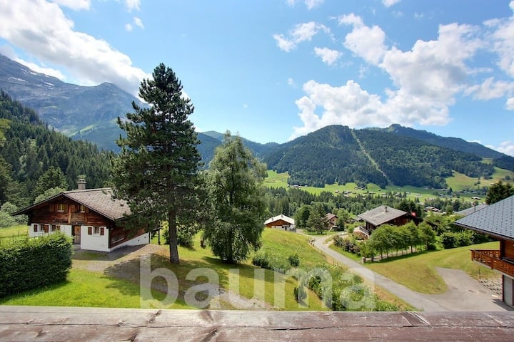 Appartement En Combles Avec Vue, Accès Jardin - Les Diablerets