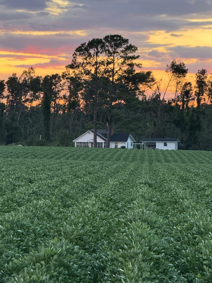Co-9 Farms - Lakeland, GA