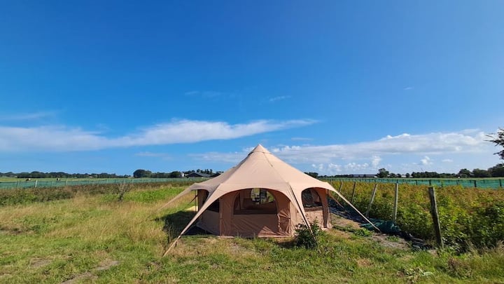 Yurt-tent - Alkmaar