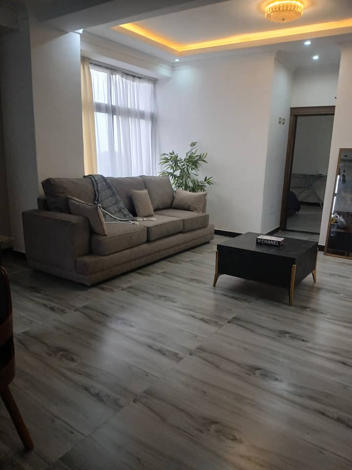 Comfortable Flat Bole Olompya - Addis Ababa