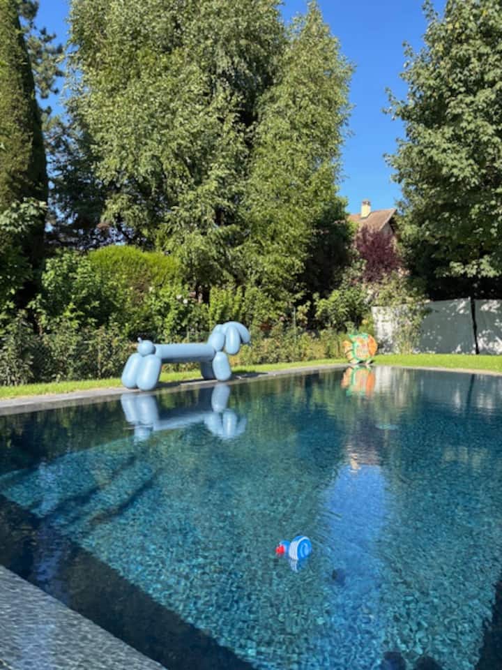 Chambre A Louer Dans Belle Villa - Nyon