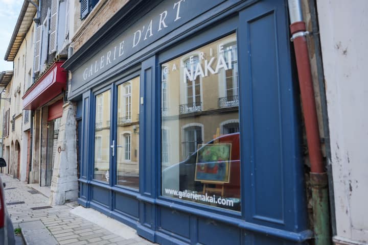 Galerie Nakai Art B&b - Tournus
