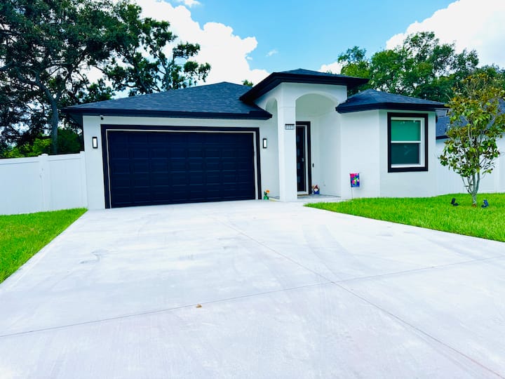 Tampa New Modern 4br House Busch Gardens & Usf - Tampa