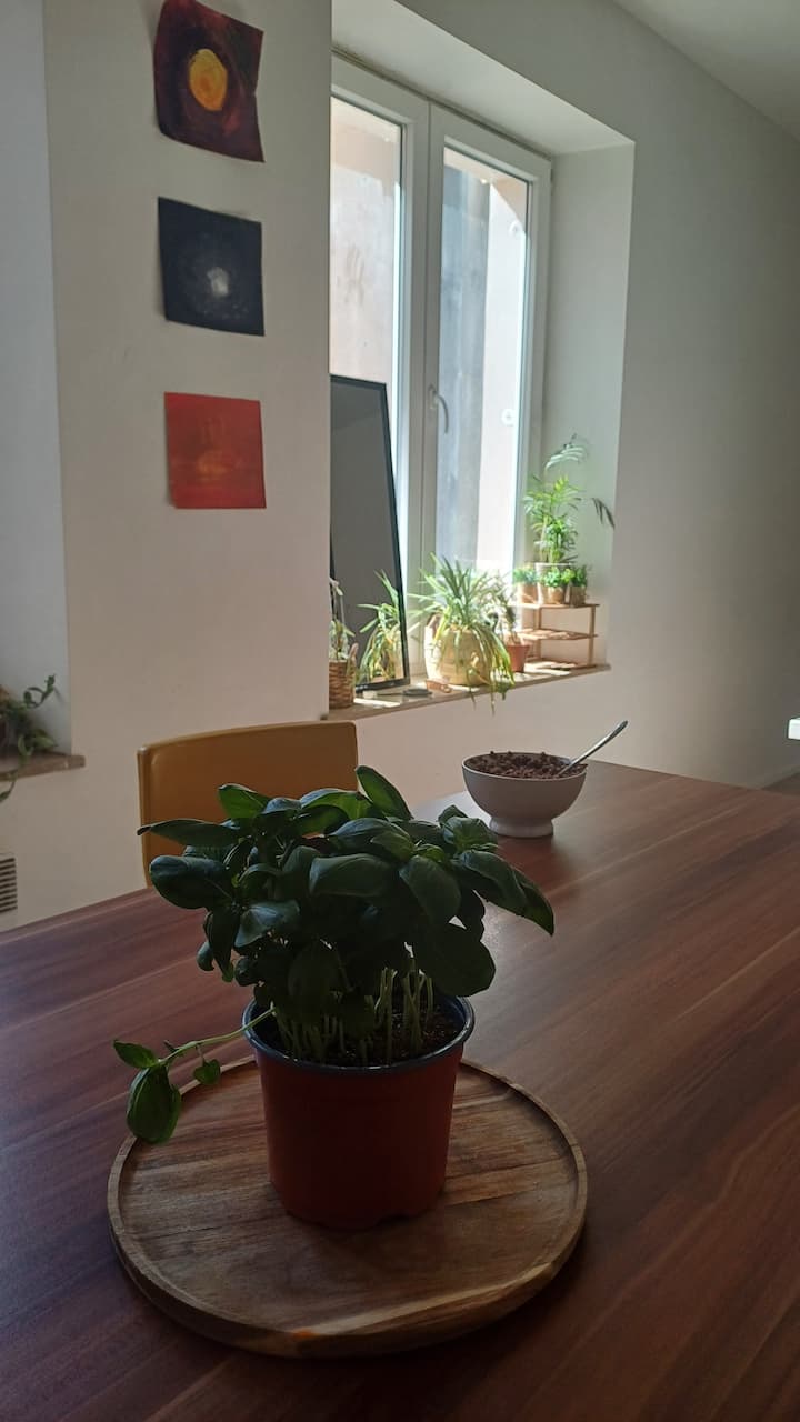 So Hype's Flat - Charleroi