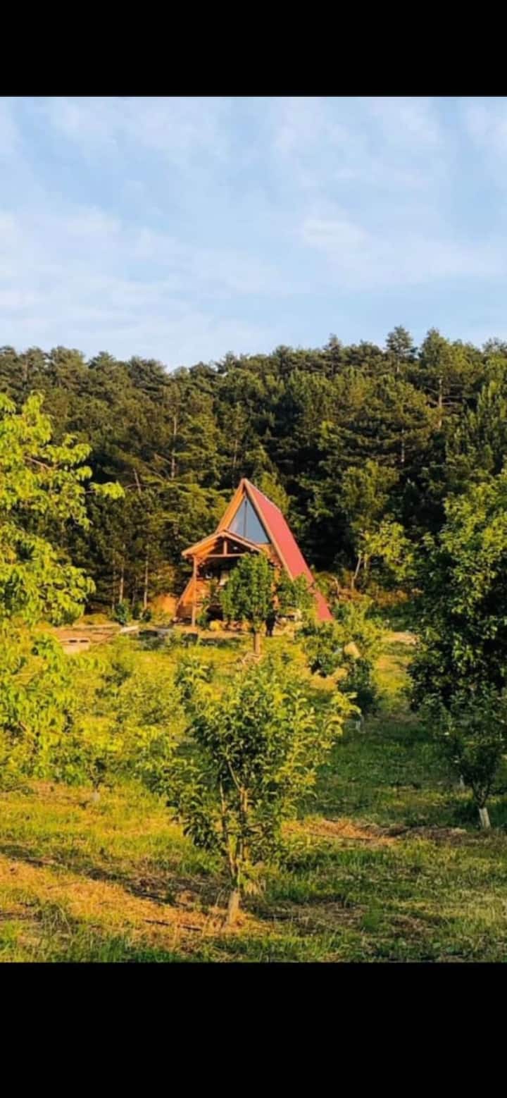 Doğada Bungalow - Ida