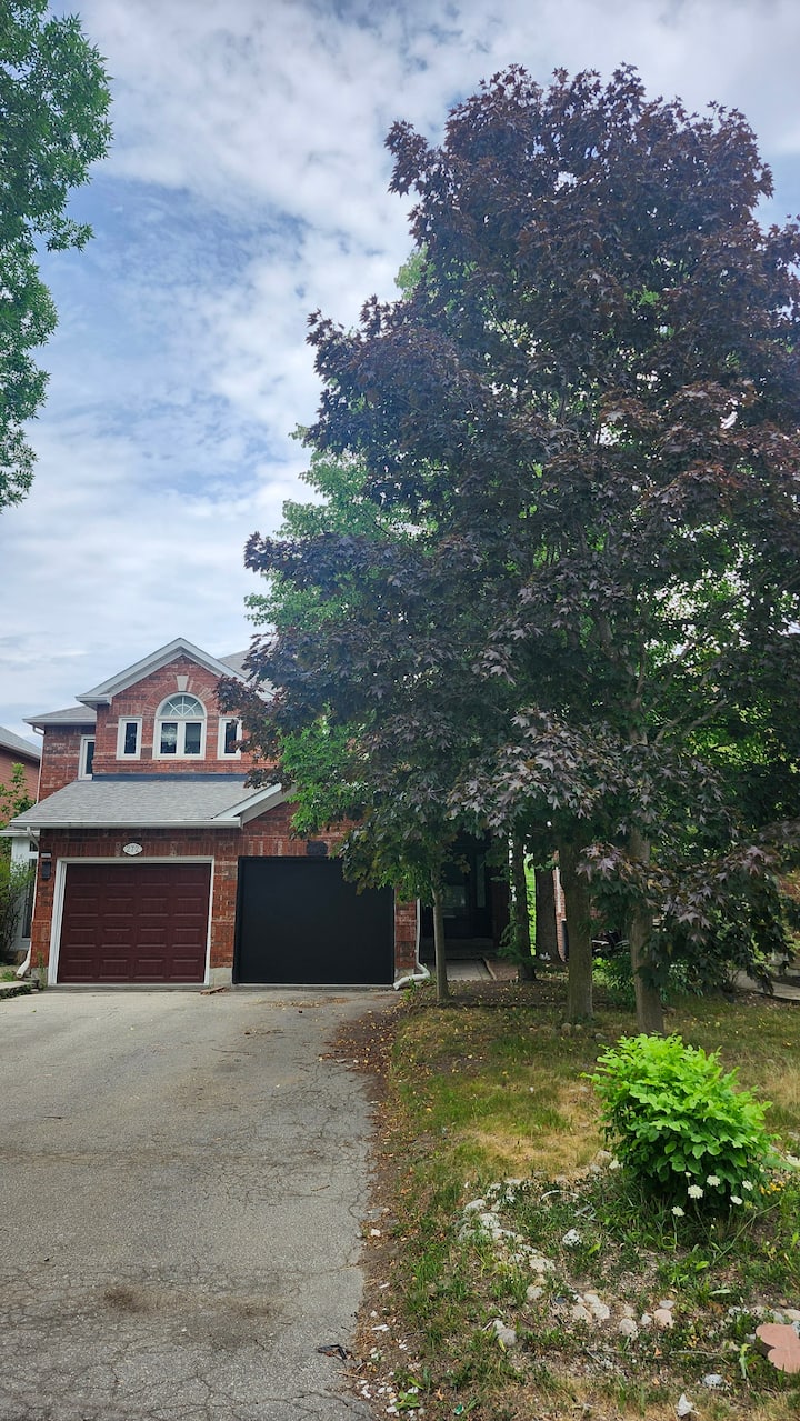 Great Home Looking Into Ravine - Newmarket