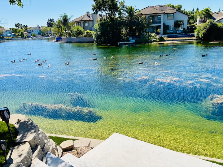 Experience Serenity: Luxe 4bdr Lake House+25’ Pool - 엘크그로브