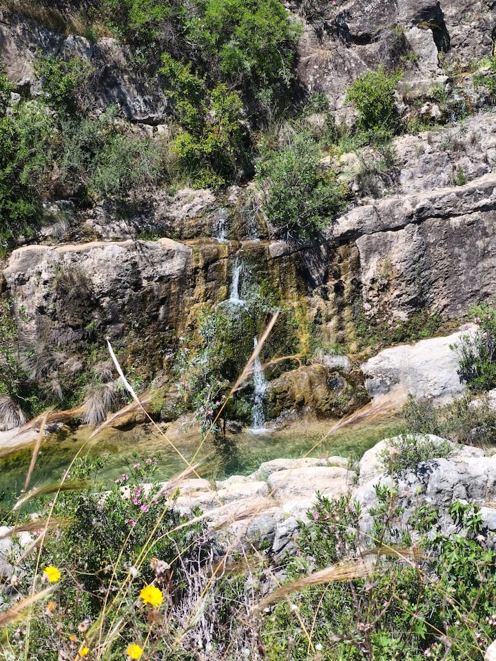 Morada Del Azulón - Anna