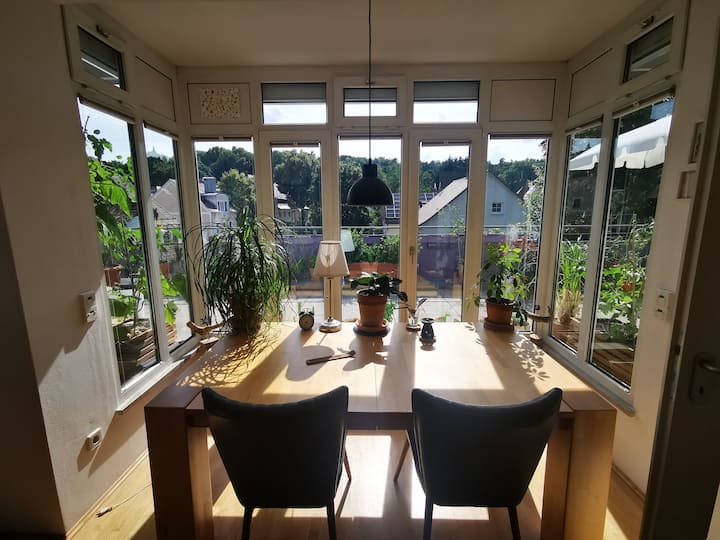 Traumhafte Wohnung Mit Dachterrasse - Regensburg