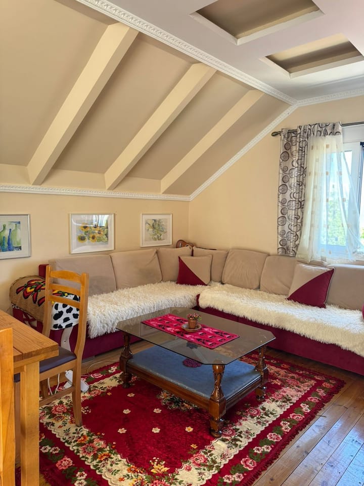 Pronotoni Per Krishtlindjet! - Albania