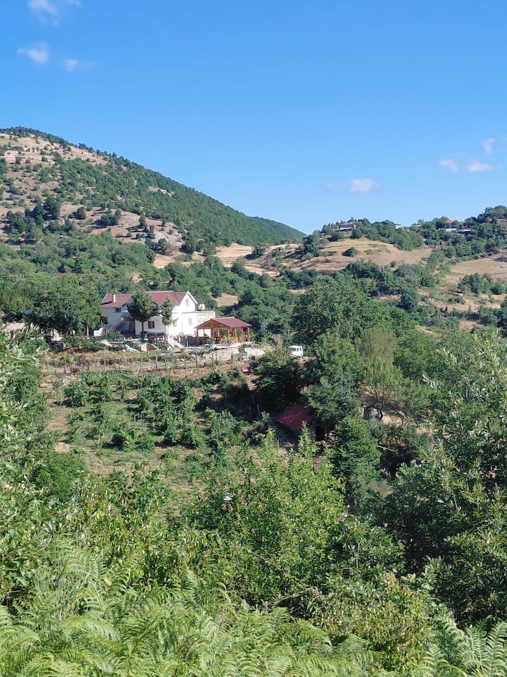Guesthaus Ne Zone Malore Per Dimer - Albanie
