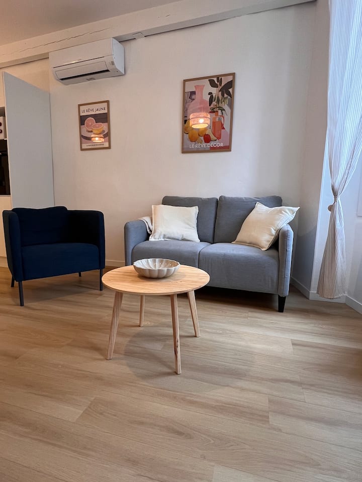 Duplex Climatisé :Arènes à Pied, Parking - Mont-de-Marsan