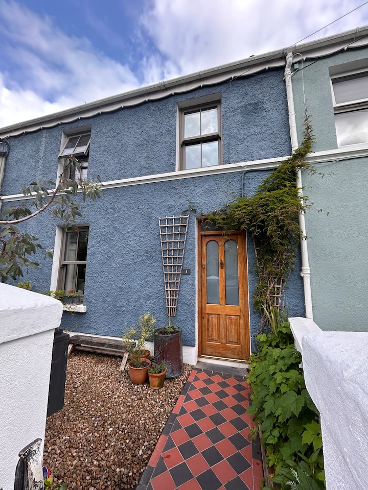 Beautiful Edwardian House - Cork
