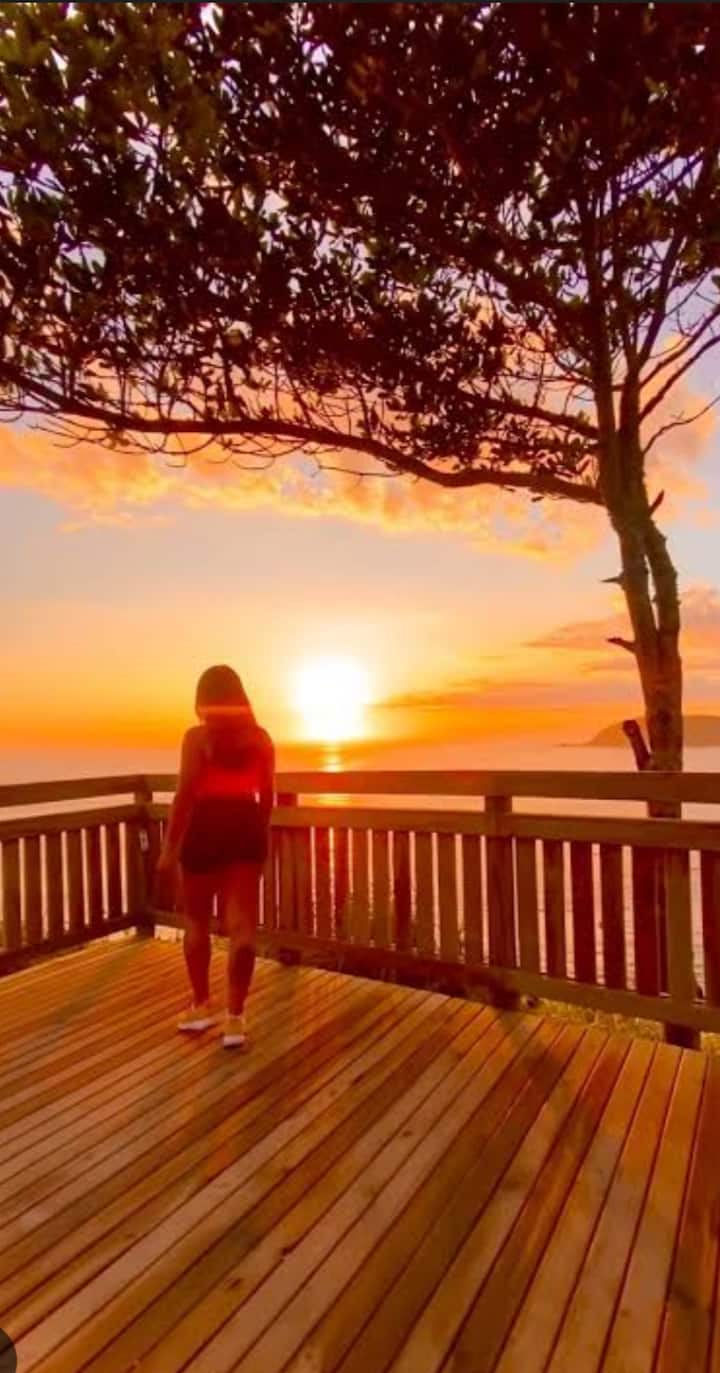 Casinhas Container Perola - Penha