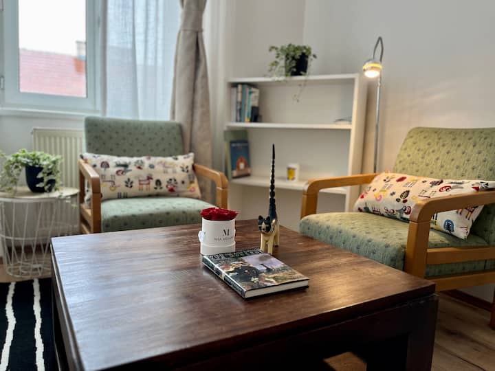 Cosy Apartment Close To City Center Long/shortterm - Viena