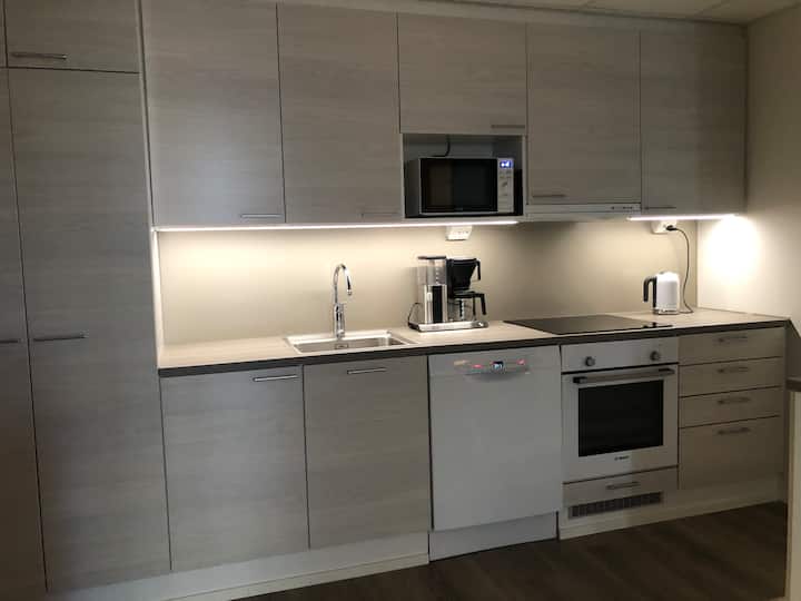 Arctic Elegance Citycenter Rovaniem - 