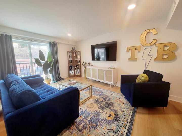 Bluesuedeshoes/parking/pool/pets/downtown - Lynchburg