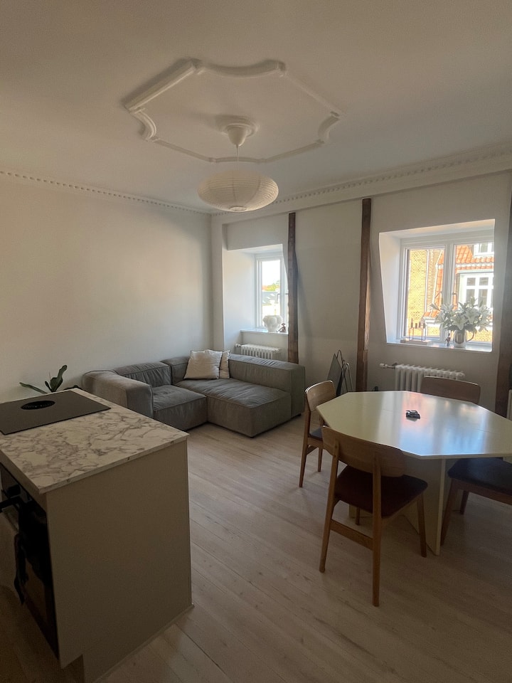 Fin Lejlighed Til To - Aarhus