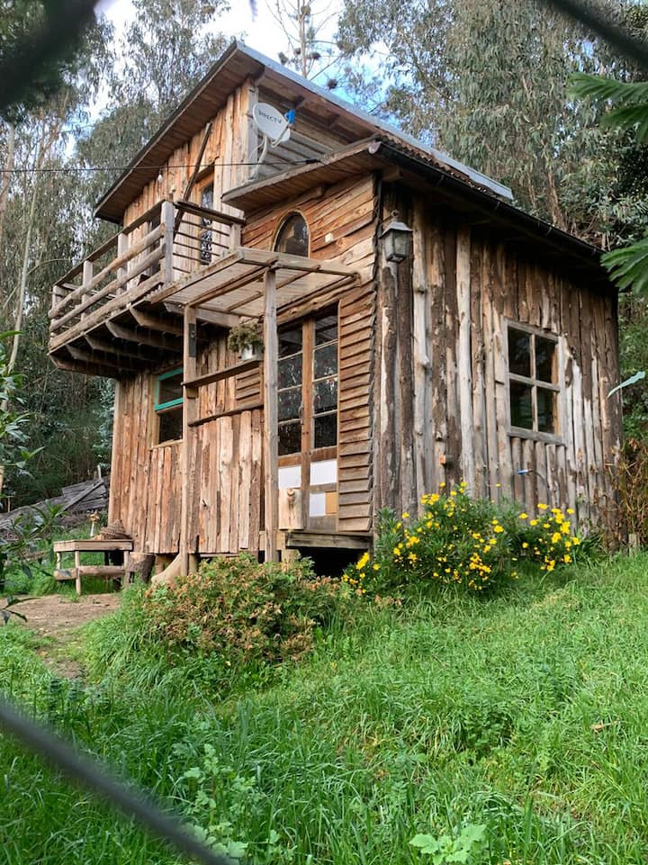 Casa Del Río - Acceso Al Río - Pelluhue