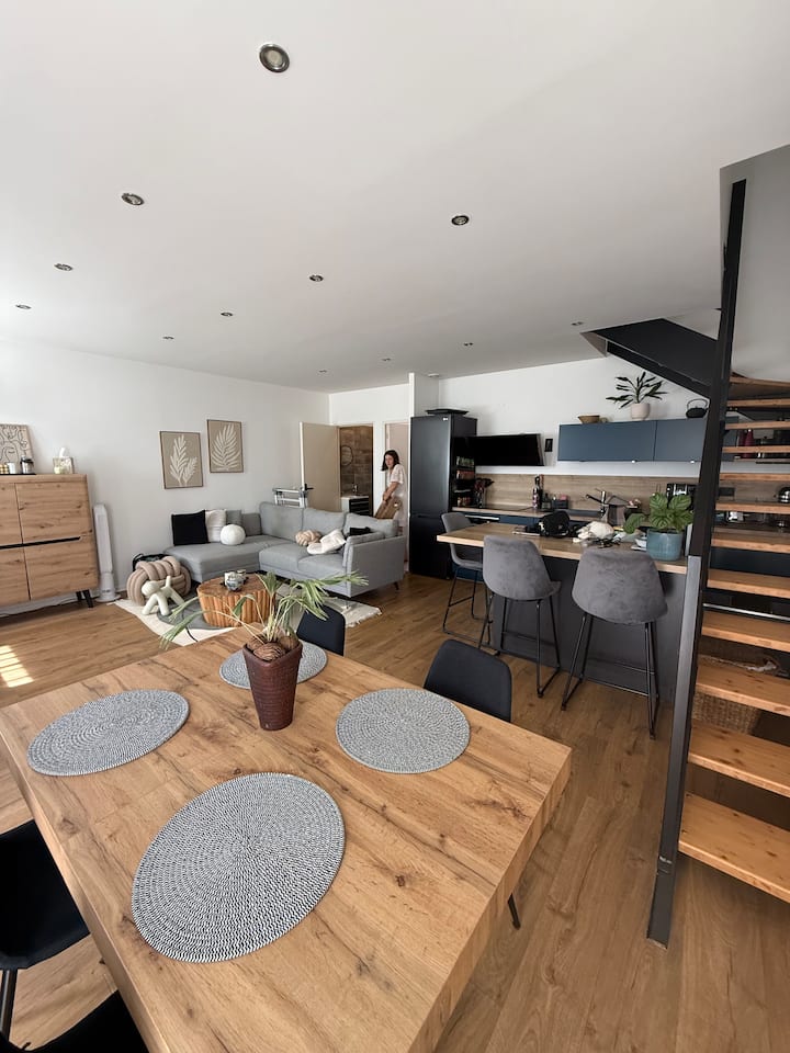 Chaleureux Duplex à Roanne - ibis Styles Roanne Centre Gare